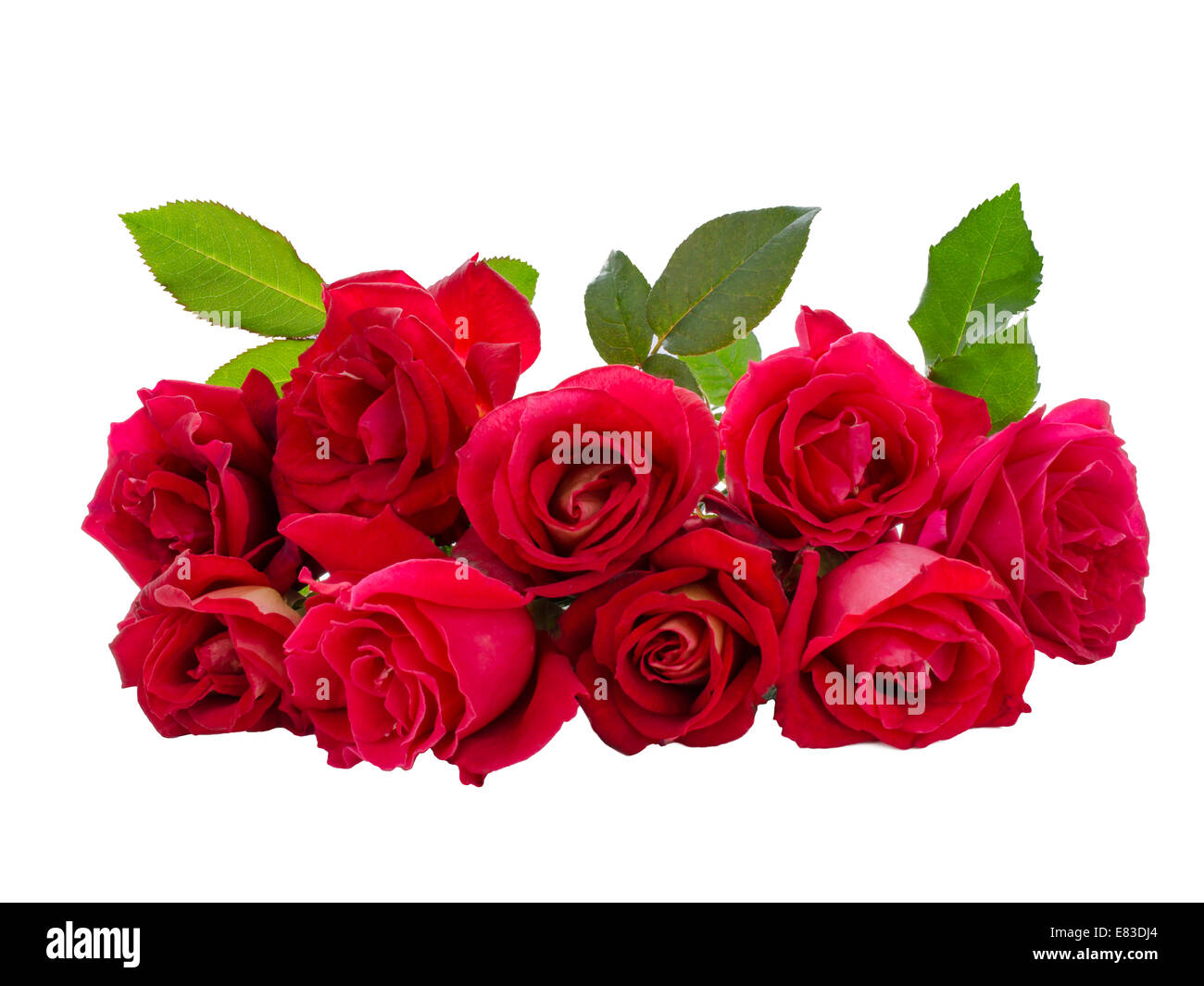 Bouquet of Red Rose Stock Photo - Alamy