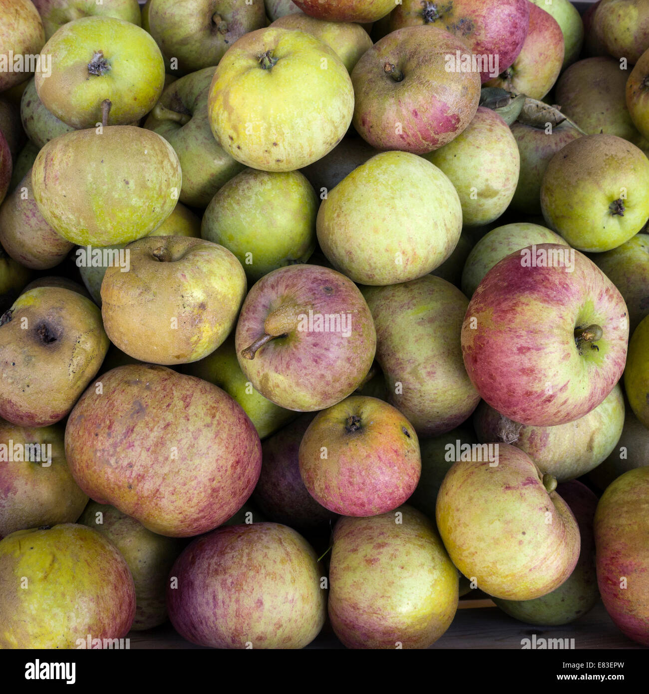 Old english hi-res stock photography and images - Alamy