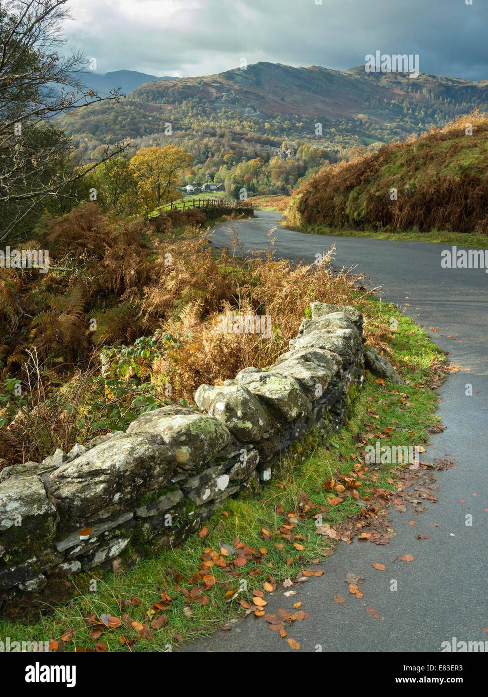 Winding country road near Elterwater, Langdale, Lake District, Cumbria ...