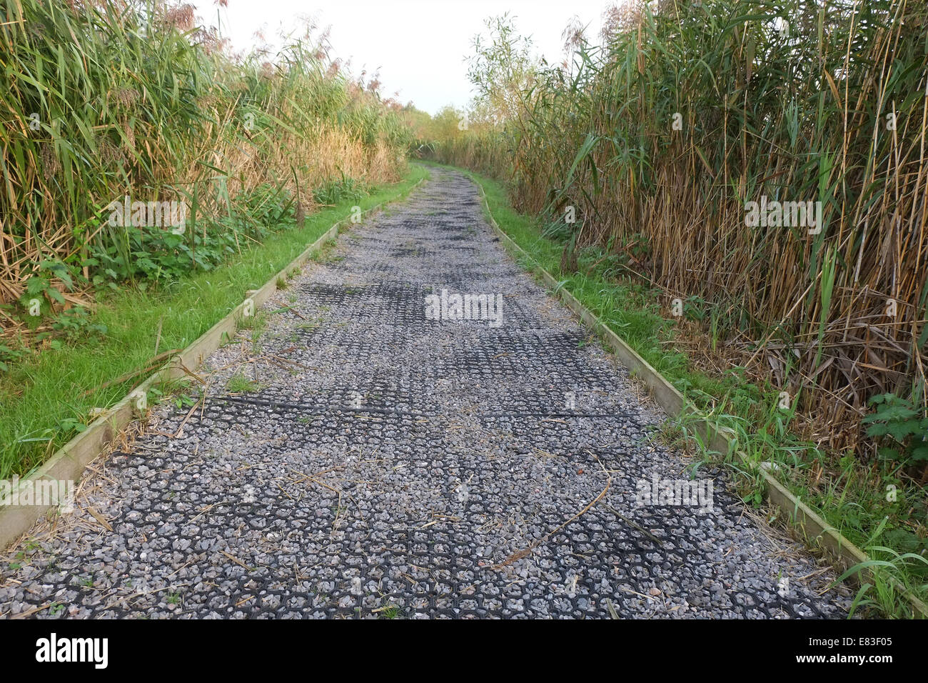 Paths and trails at Ham Wall nature reserve in Somerset, England, 27th ...
