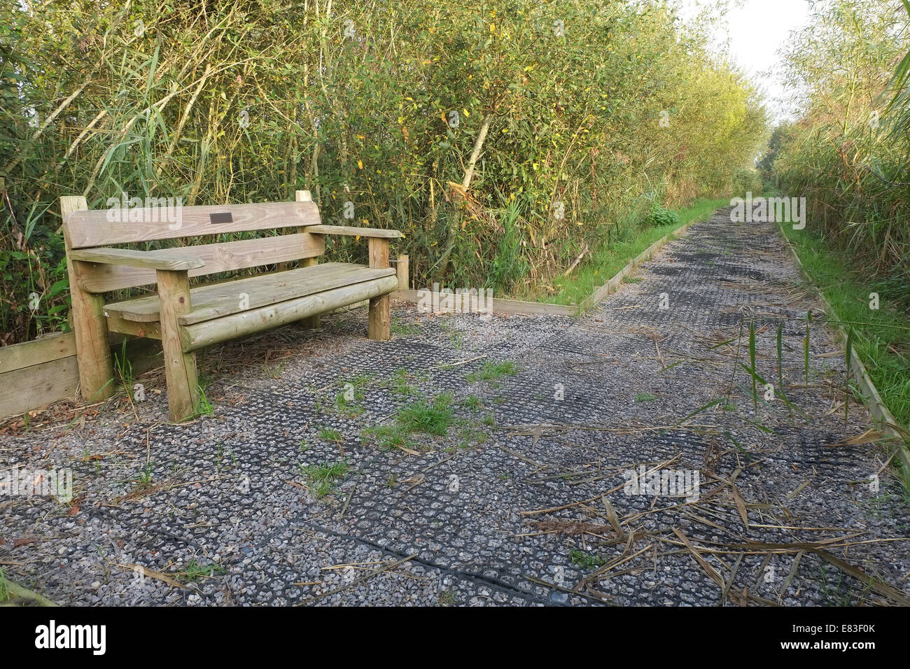 Paths and trails at Ham Wall nature reserve in Somerset, England, 27th ...