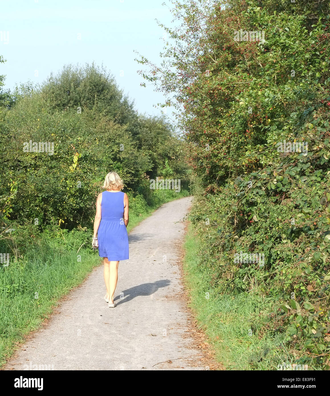 Paths and trails at Ham Wall nature reserve in Somerset, England, 27th ...