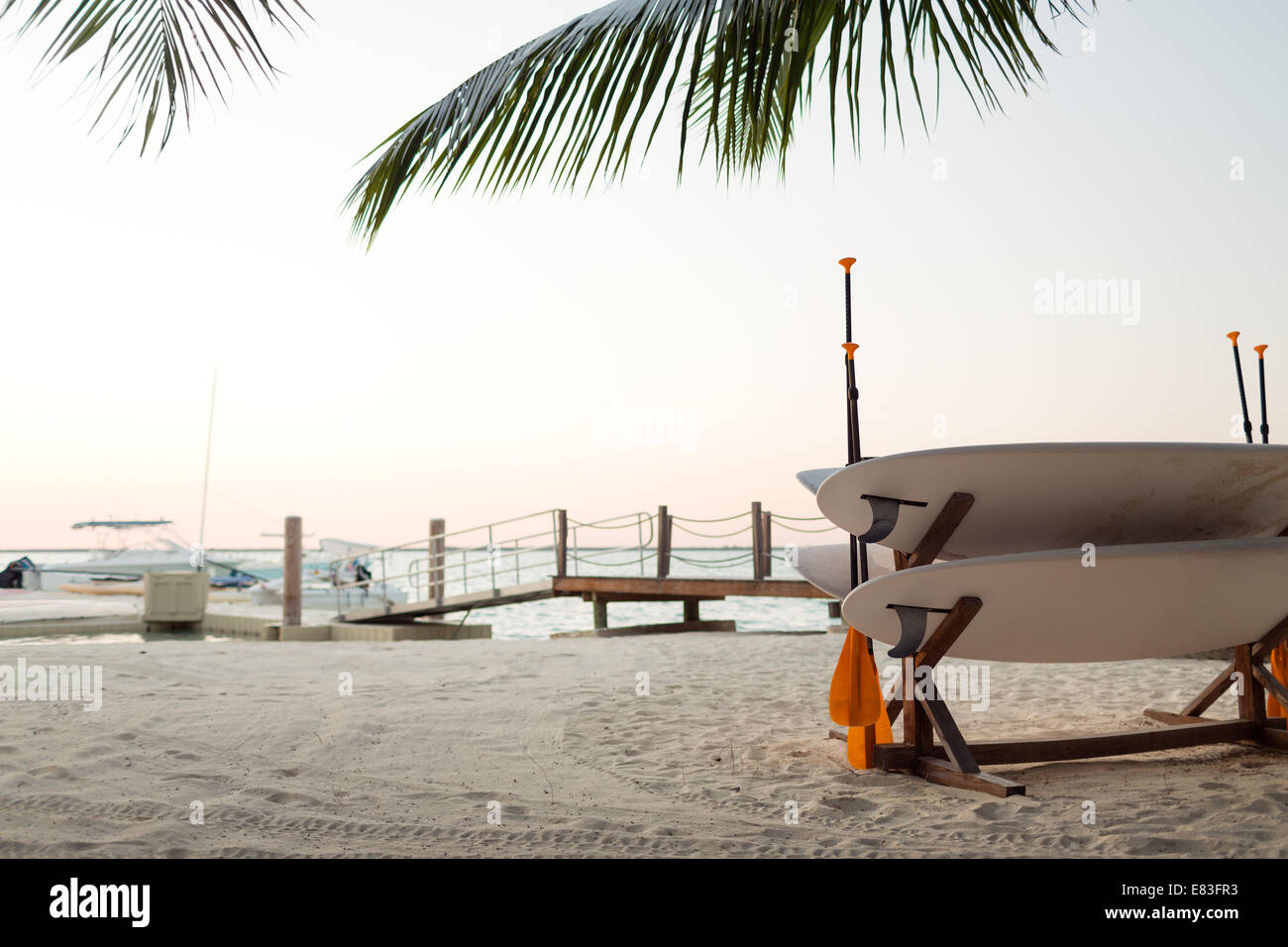 surfboards on tropical beach Stock Photo - Alamy