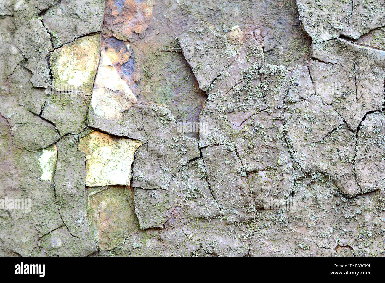 scratched ripped metal plating, grunge background Stock Photo - Alamy