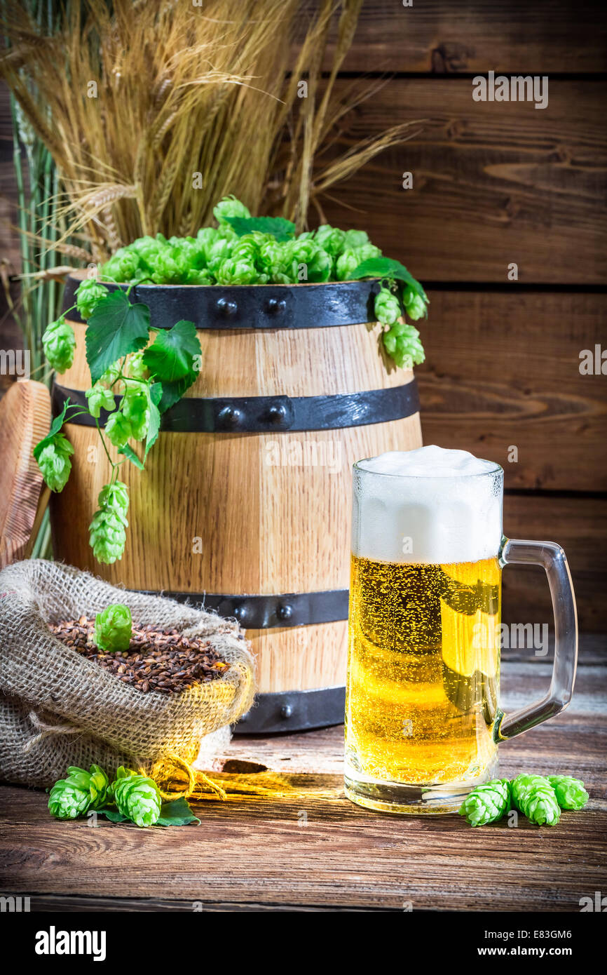 Golden color of light beers Stock Photo - Alamy