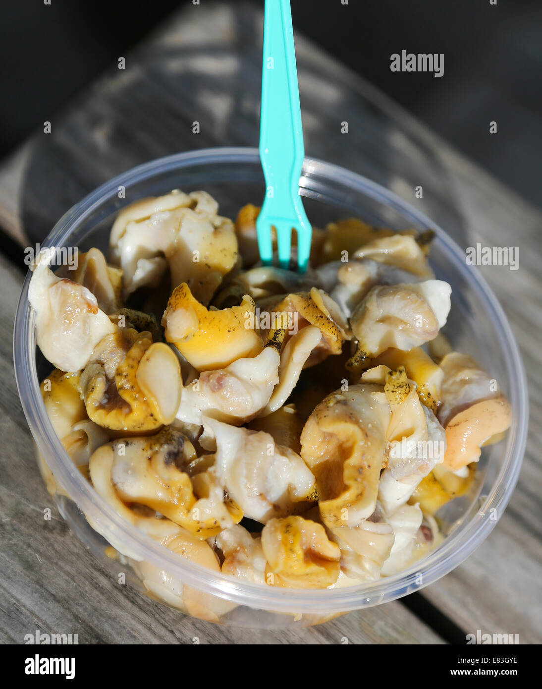 Whelks close up hi-res stock photography and images - Alamy