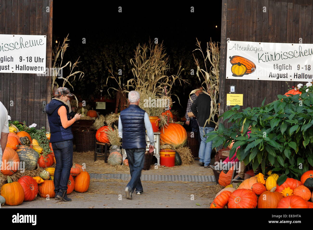 Market stall with squash assortment of various shapes and sizes Stock ...