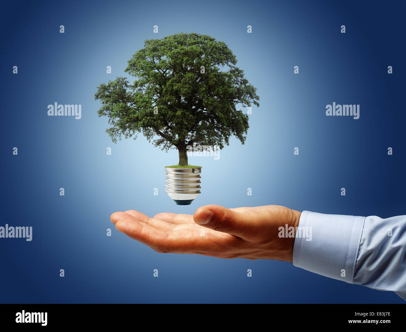 Environmental action hi-res stock photography and images - Alamy