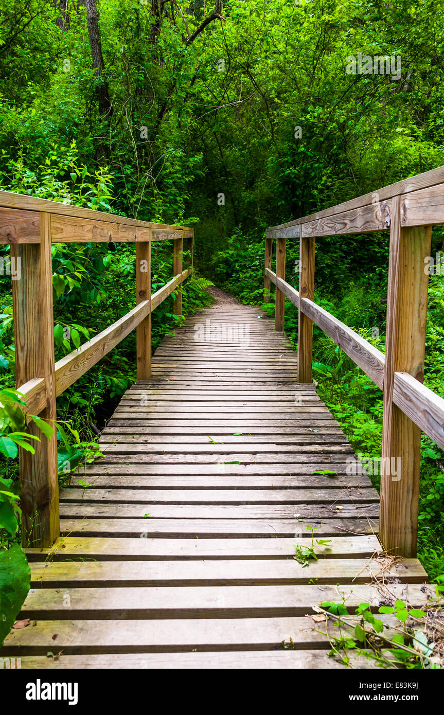 Bridge on a trail through the forest at Codorus State Park ...