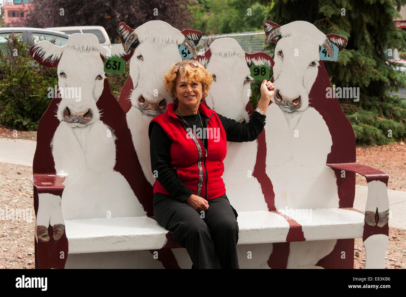 Calgary tourist attraction hi-res stock photography and images - Alamy