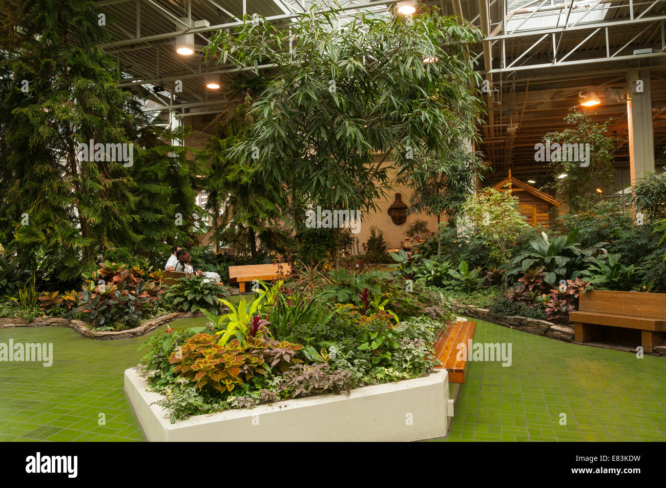 Elk203-62669 Canada, Alberta, Calgary, Devonian Gardens Stock Photo - Alamy