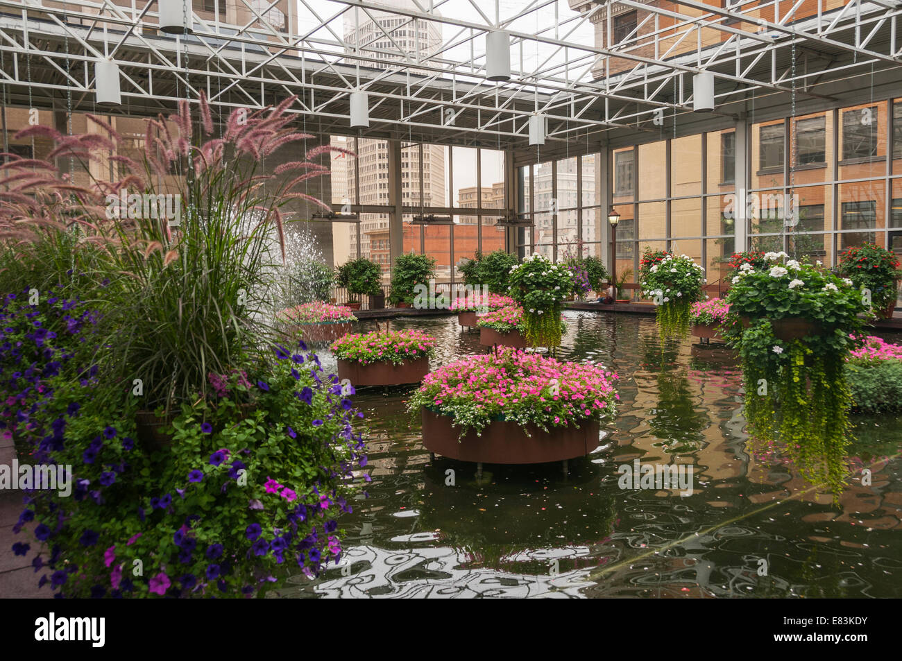 Indoor garden hi-res stock photography and images - Alamy