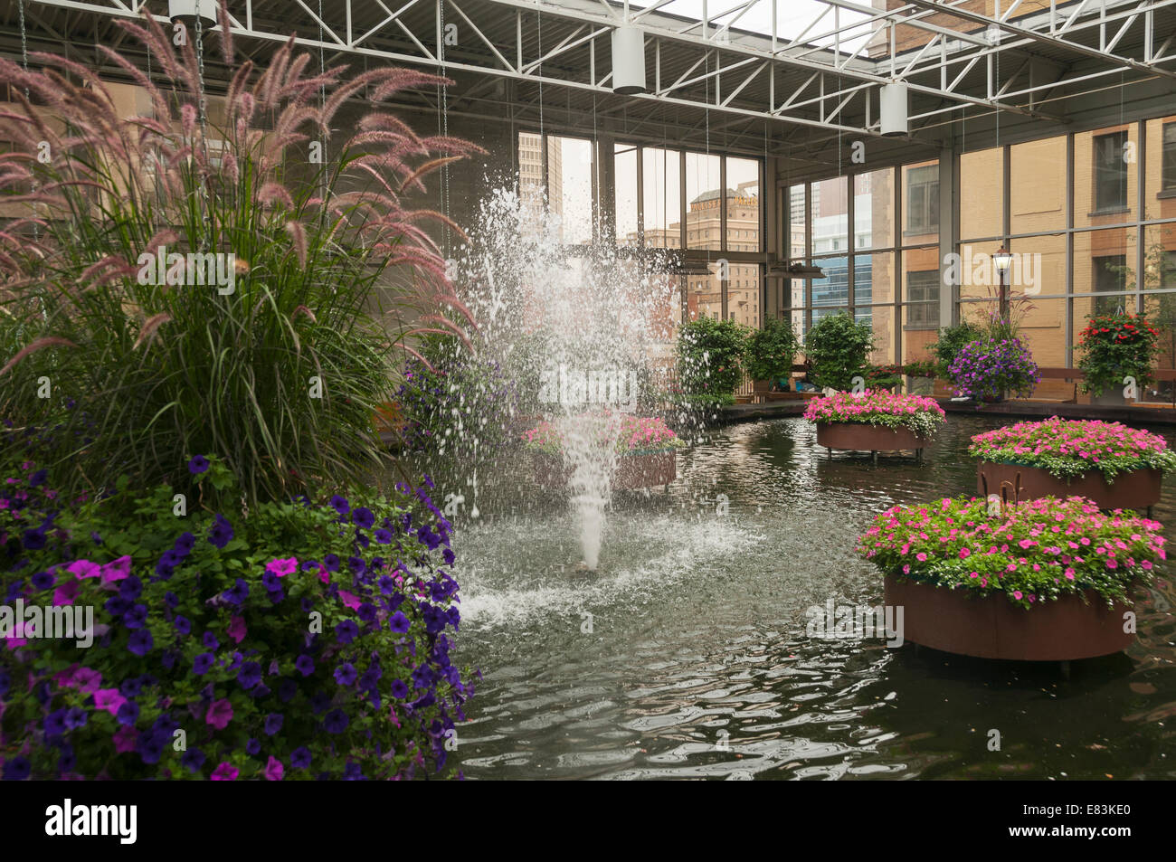 Elk203-6270 Canada, Alberta, Calgary, Devonian Gardens Stock Photo - Alamy