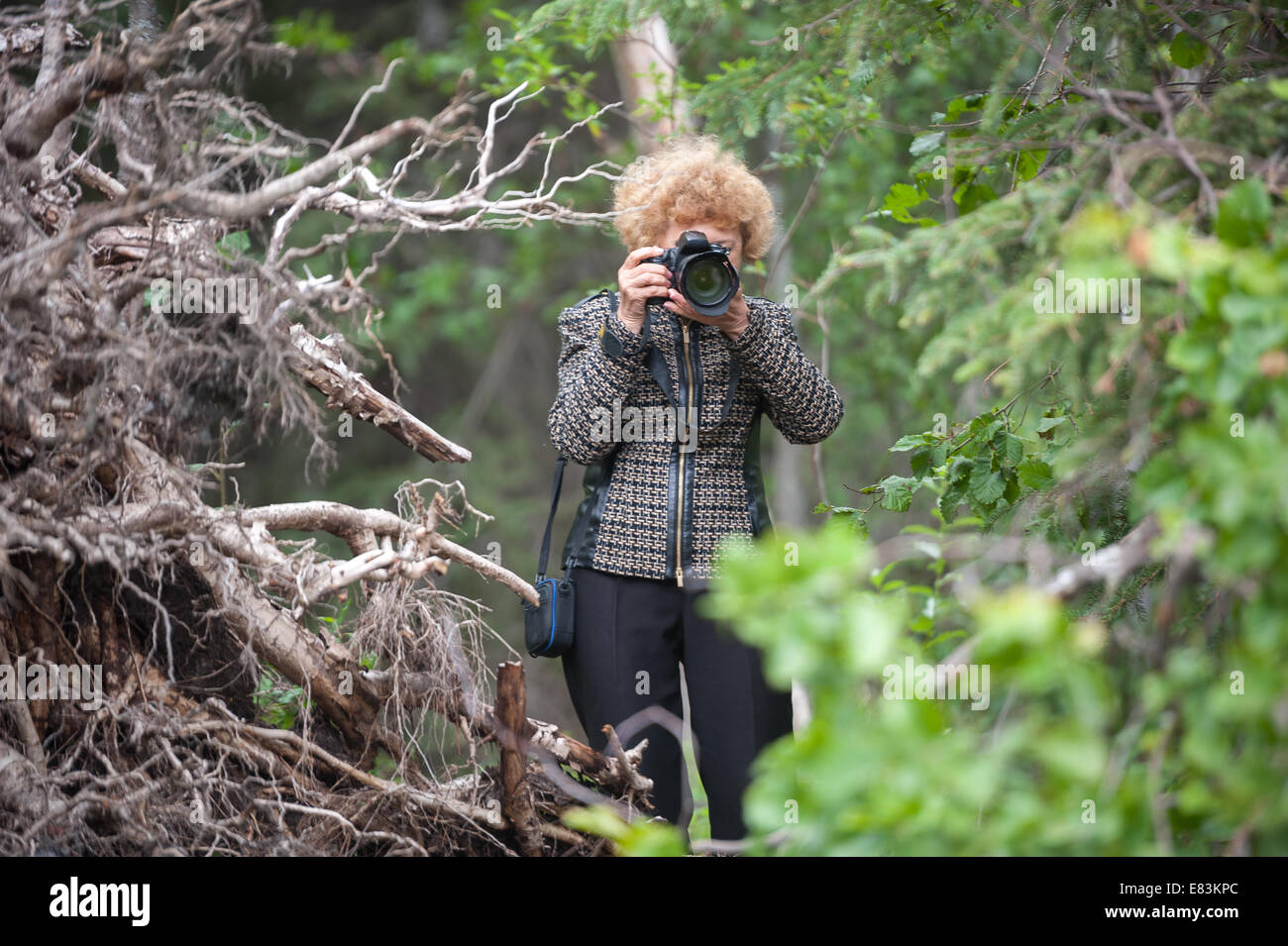 Female photographer at work hi-res stock photography and images - Alamy