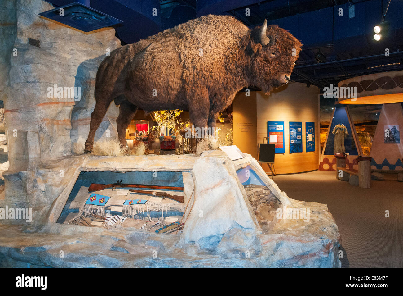 Elk203-6291 Canada, Alberta, Calgary, Glenbow Museum, exhibit Stock ...