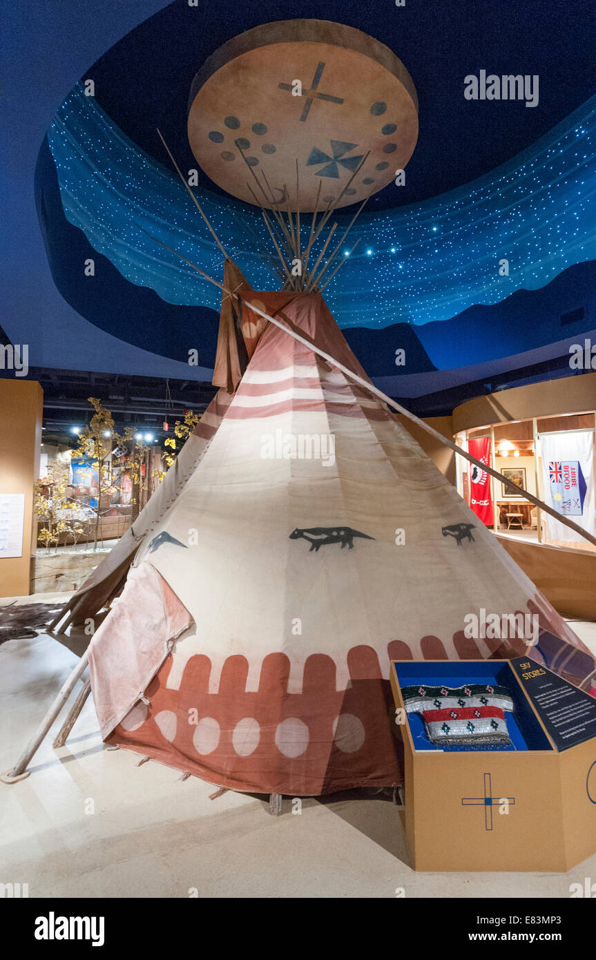 Elk203-6293v Canada, Alberta, Calgary, Glenbow Museum, exhibit, tipi ...