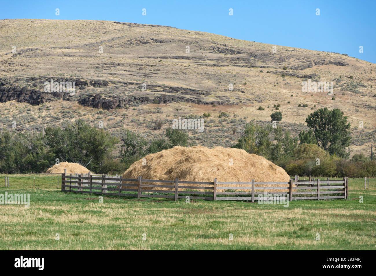 Haystack on a ranch in Northeast Oregon Stock Photo - Alamy