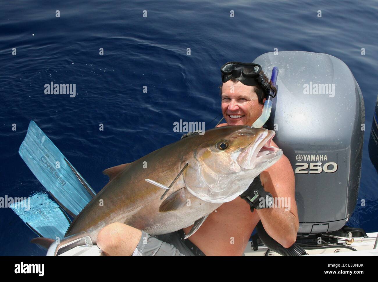 Common amberjack hi-res stock photography and images - Alamy