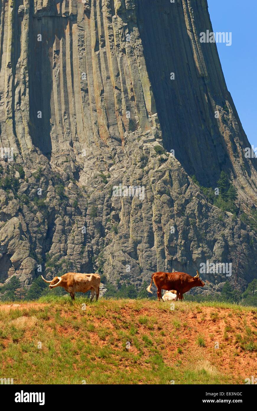 Devils tower hi-res stock photography and images - Alamy