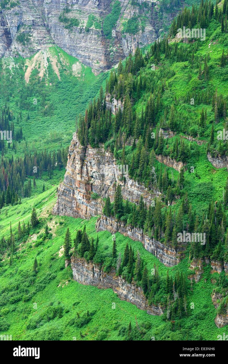 Mountain scenery and glacial views along the Going to the Sun road in ...
