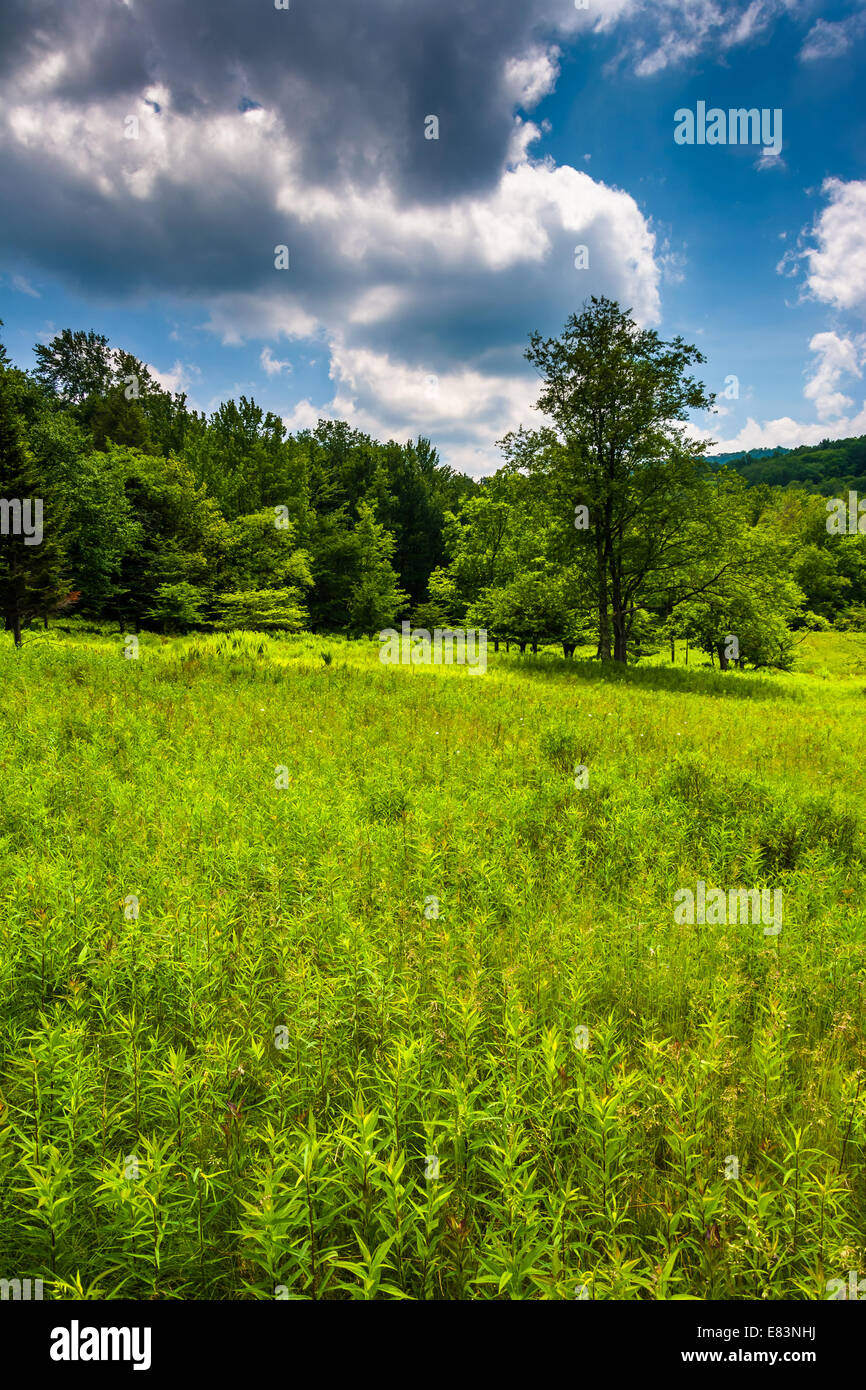 Canaan city hi-res stock photography and images - Alamy