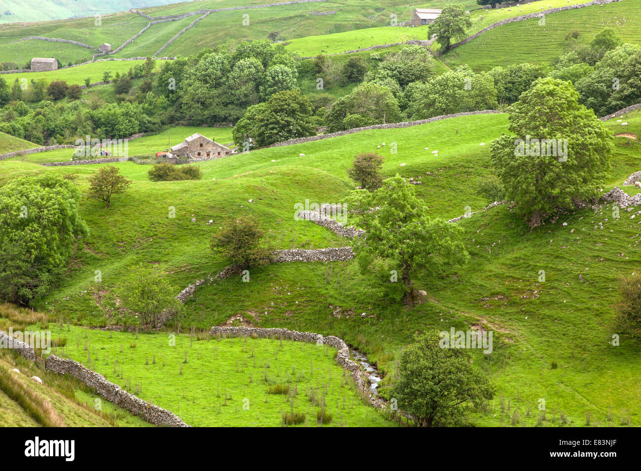 Our yorkshire farm hi-res stock photography and images - Alamy