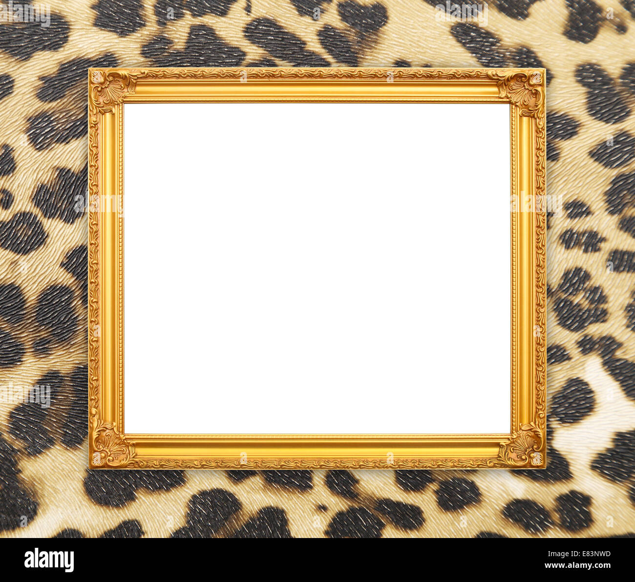 blank golden frame with leopard texture background Stock Photo - Alamy