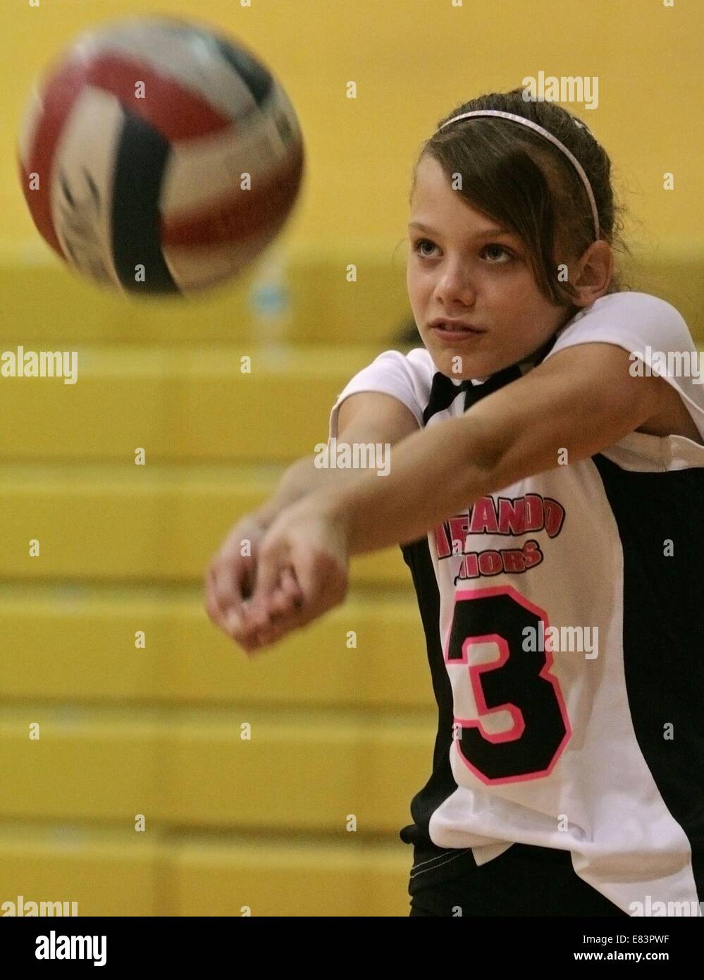 Bienkowski hi-res stock photography and images - Alamy