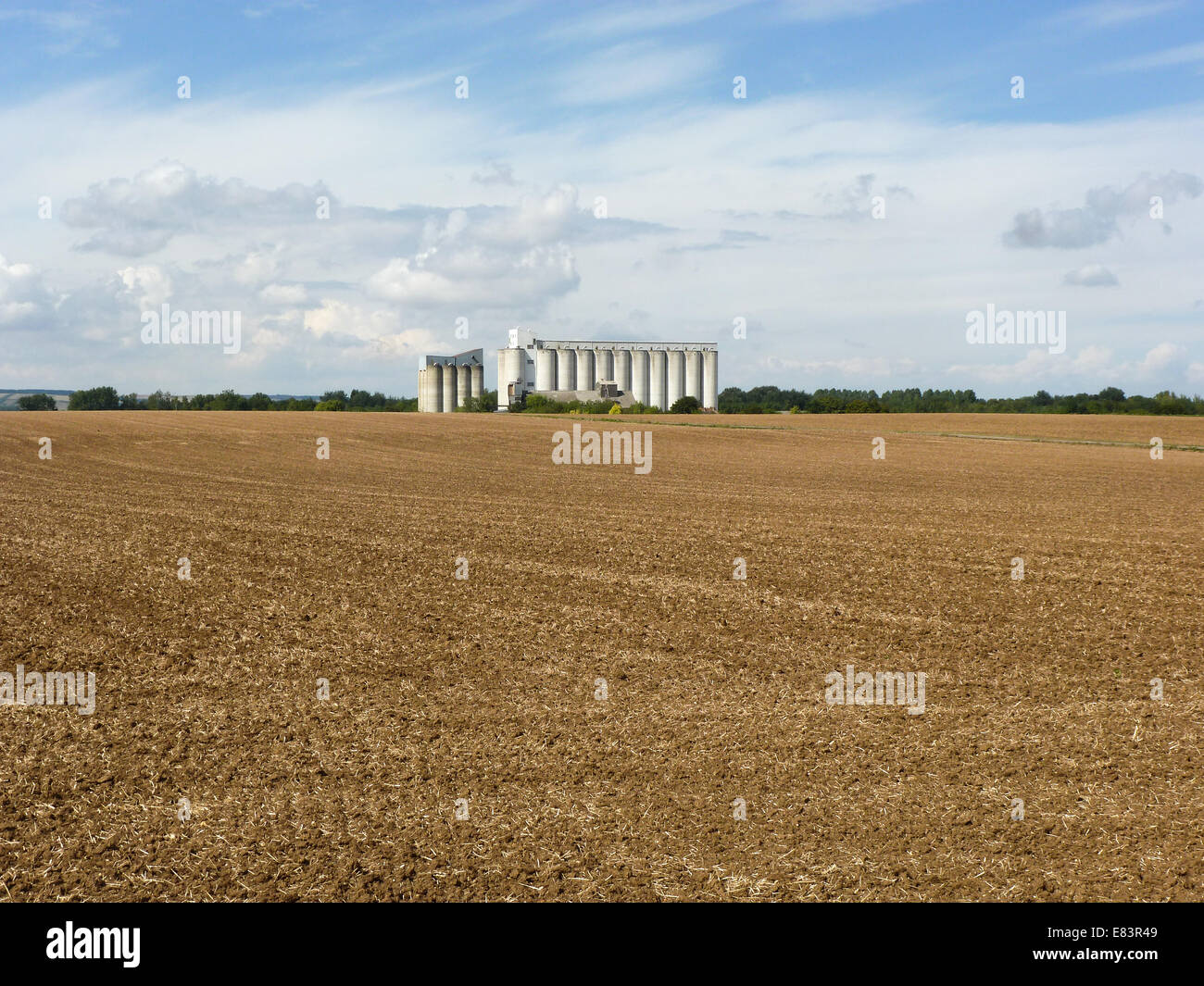 field for cereals in Champagne in France Stock Photo - Alamy