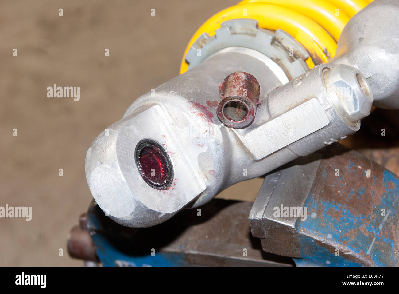 Motorcycle Maintenance shock upper mount bearing Stock Photo - Alamy