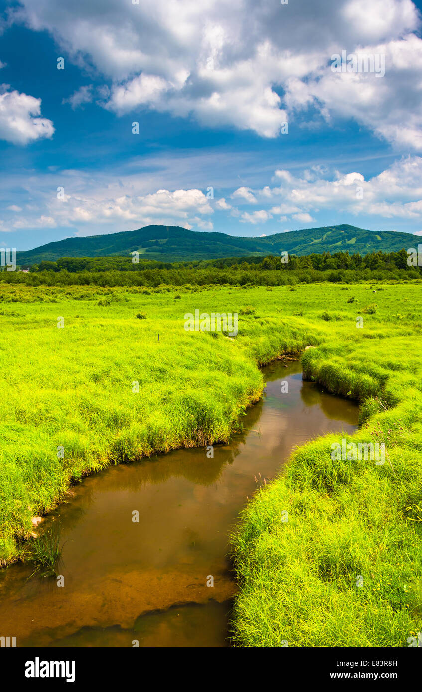 Appalachian mountains stream river hi-res stock photography and images ...