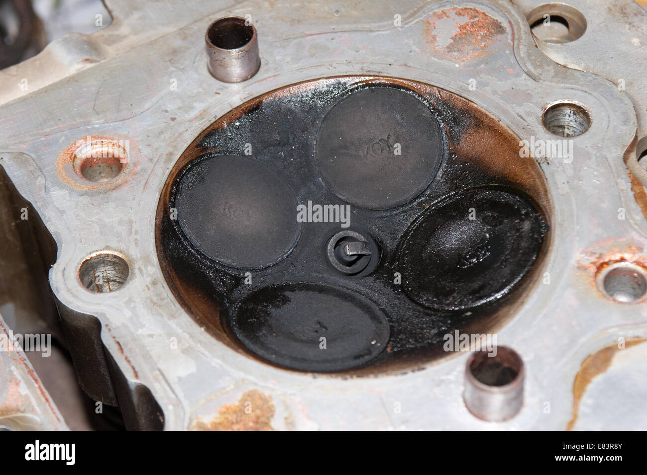Motorcycle Maintenance - cylinder head Stock Photo - Alamy