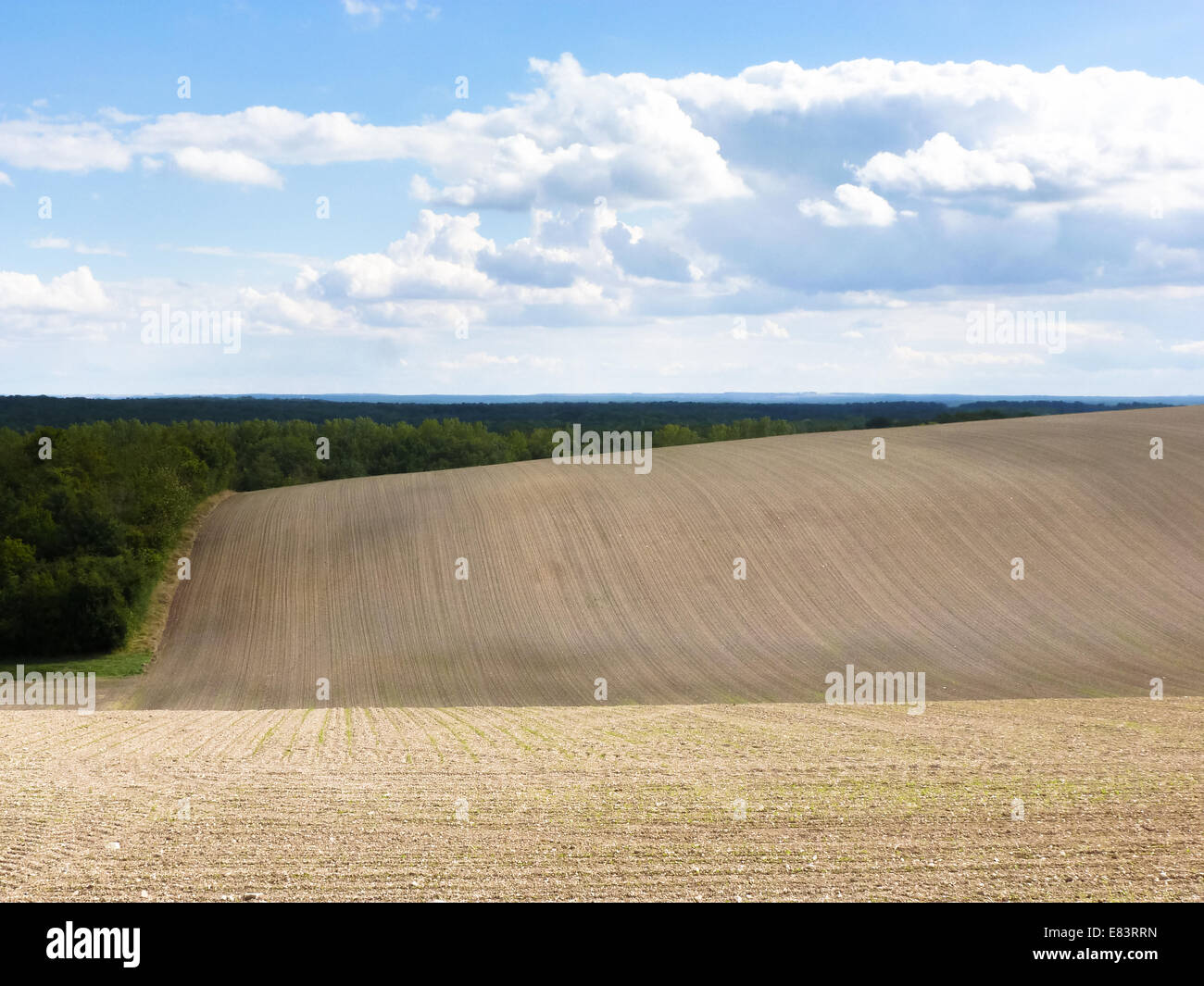 Empty fields hi-res stock photography and images - Alamy