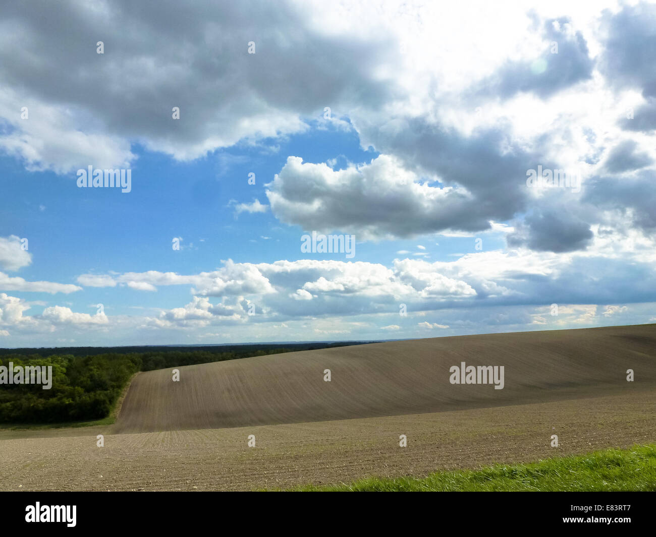 empty fields in champagne in france Stock Photo - Alamy