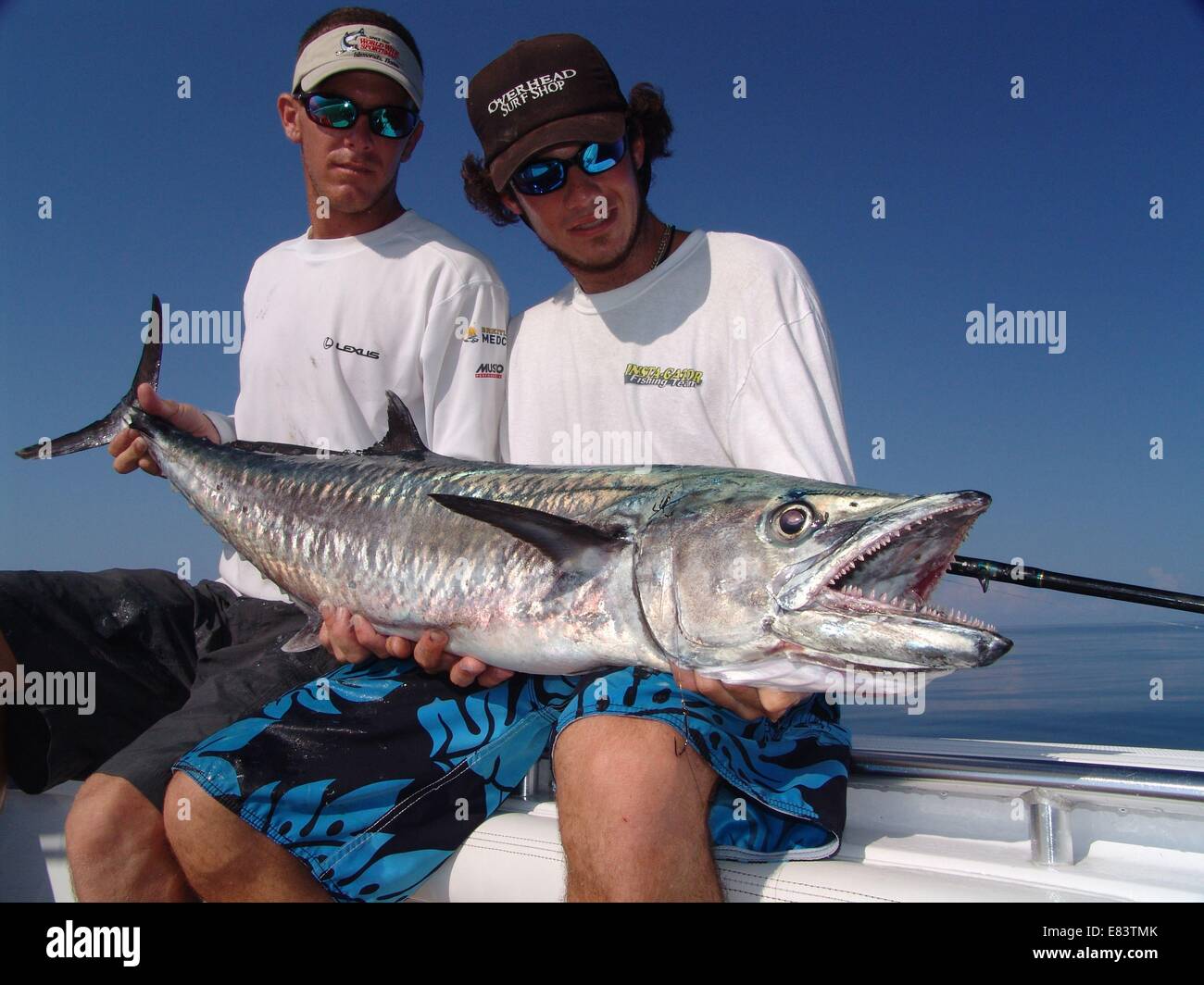 1 3 jpg hi-res stock photography and images - Alamy