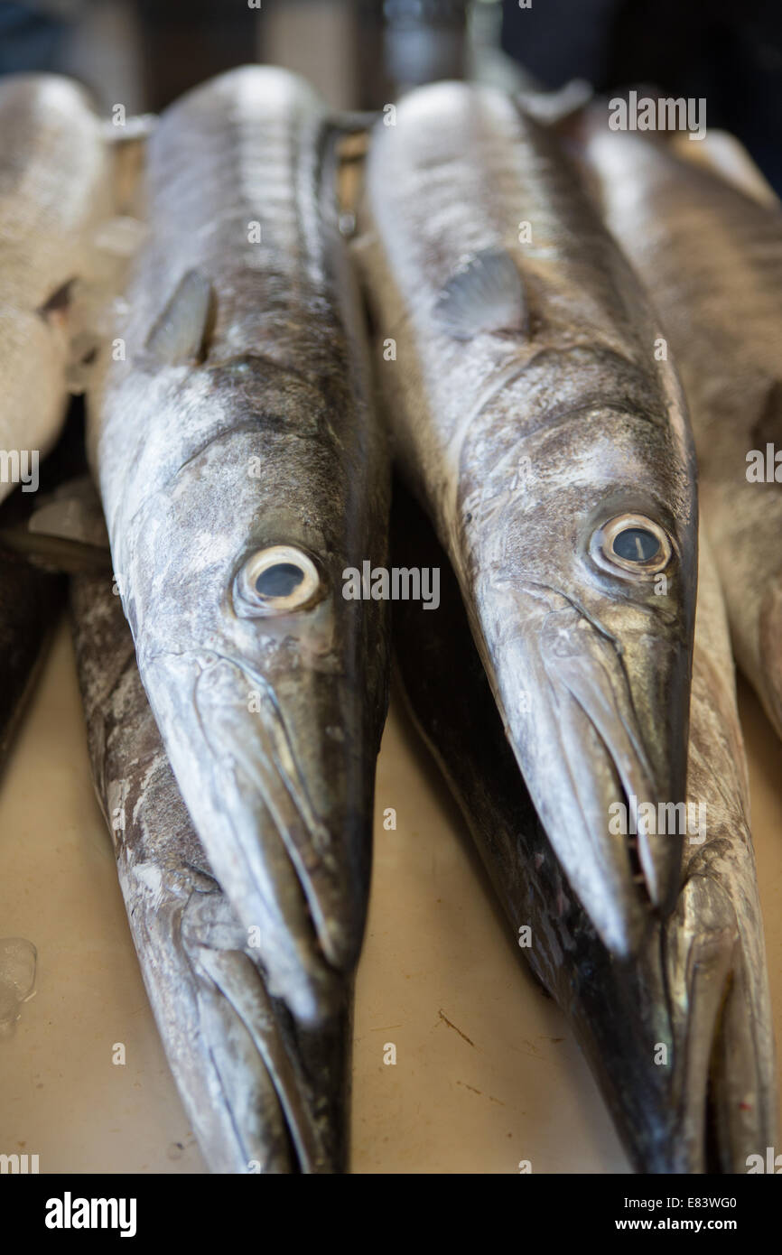 Fresh fish dubai hi-res stock photography and images - Alamy