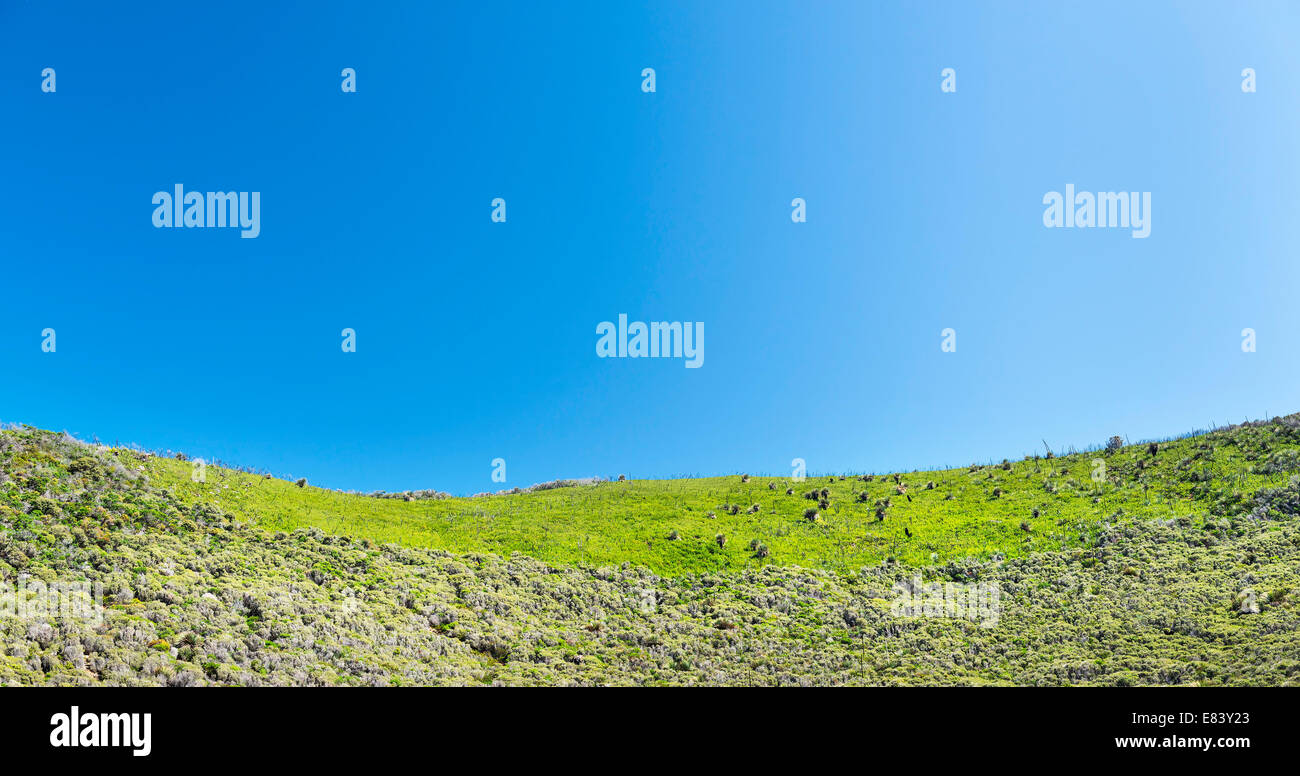 Hillside green field hi-res stock photography and images - Alamy