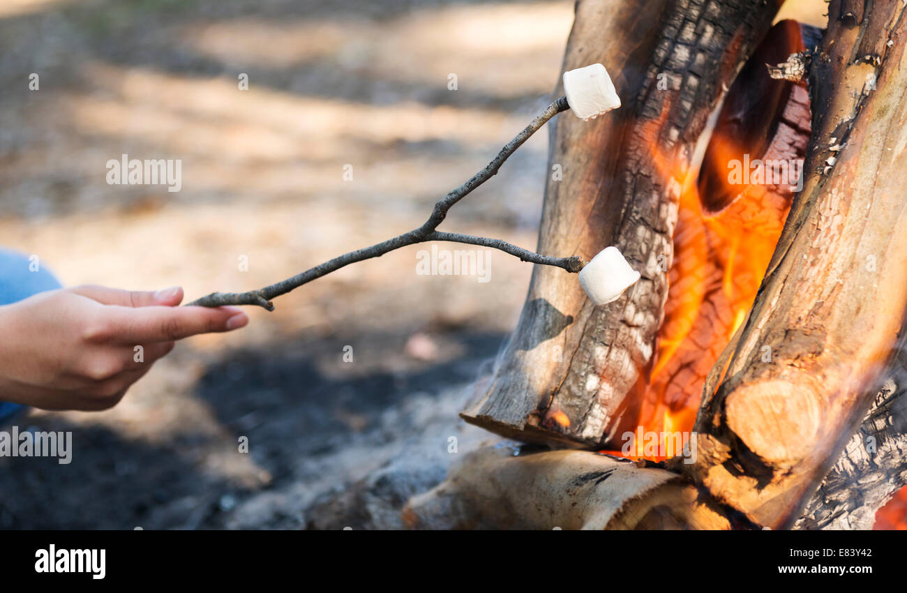 Toasting marshmallows fire hi-res stock photography and images - Alamy