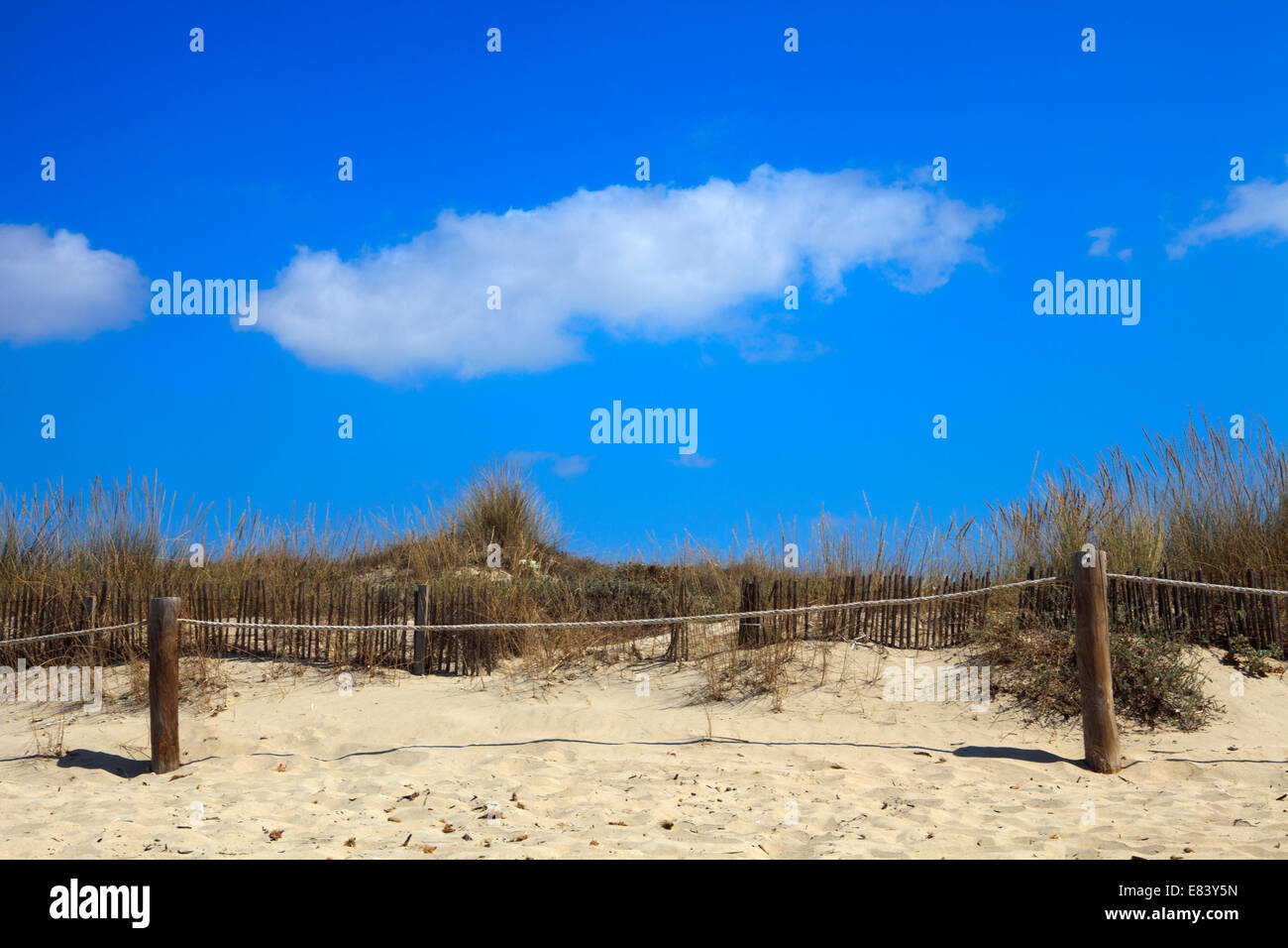 Son Bou beach, Alaior, Minorca, Balearic Islands, Spain Stock Photo - Alamy