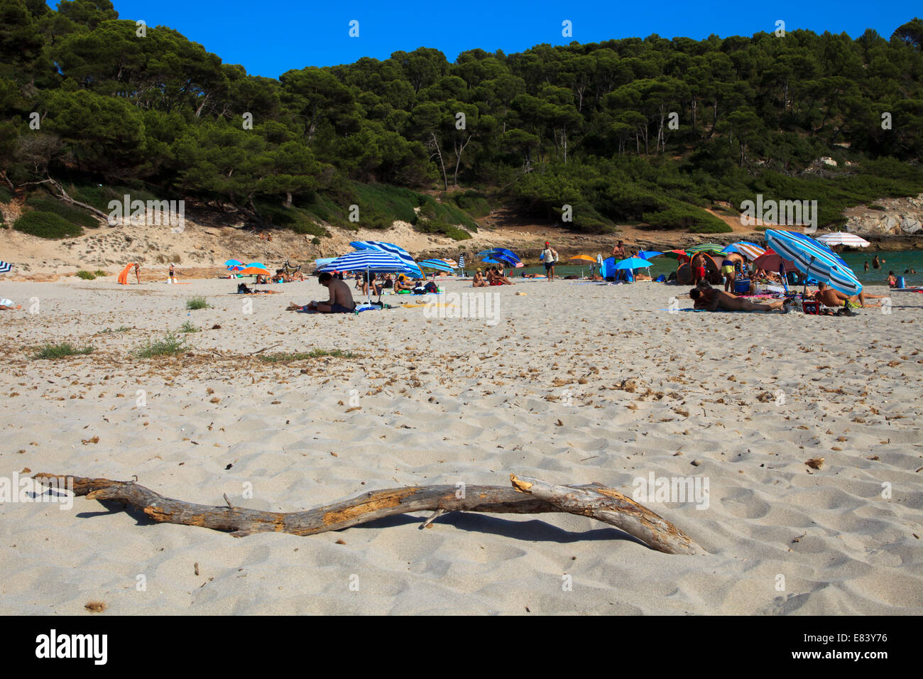Cala Trebaluger, Migjorn Gran, Minorca, Balearic Islands, Spain Stock ...