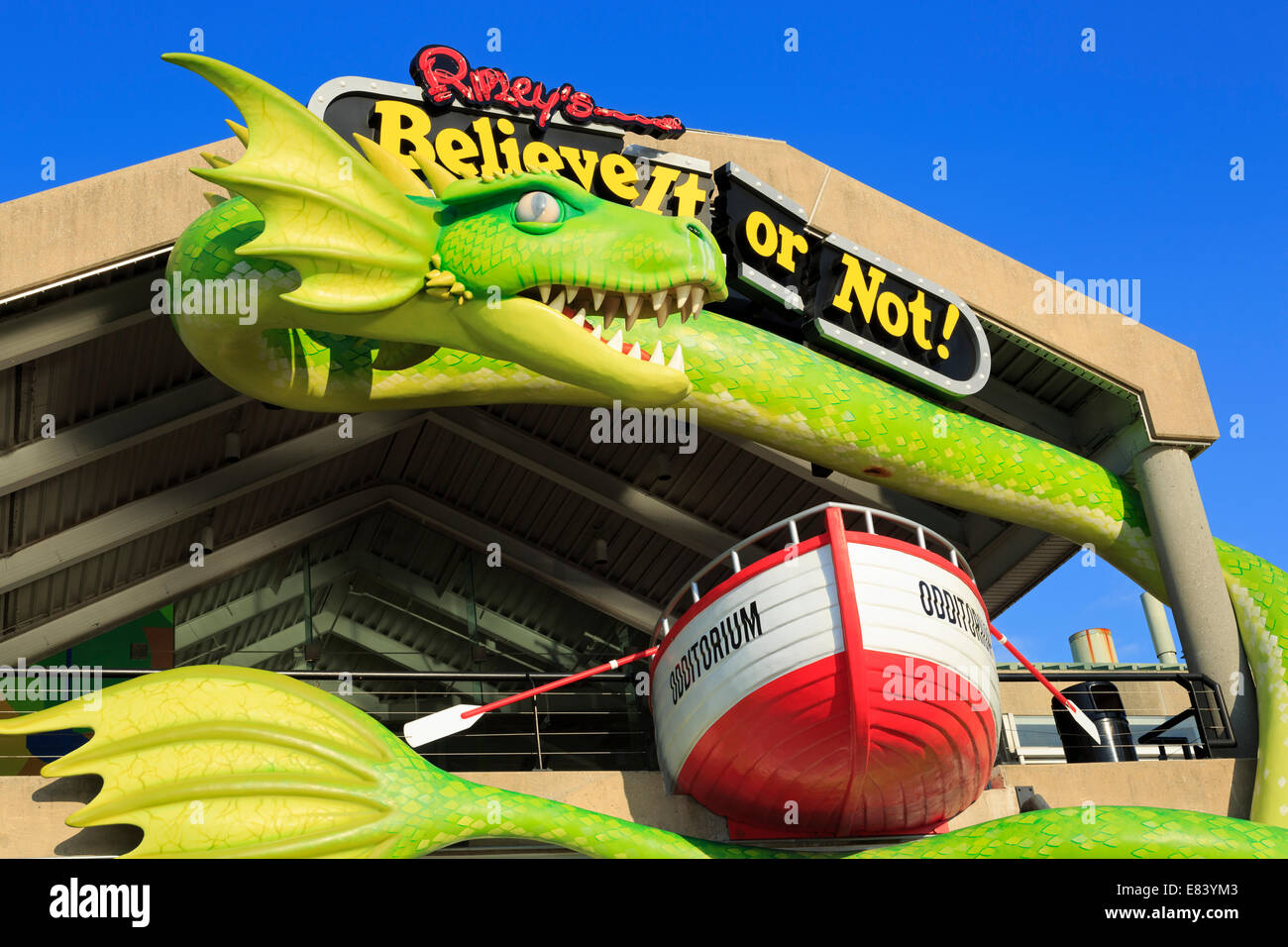 Walter Hudson Ripley