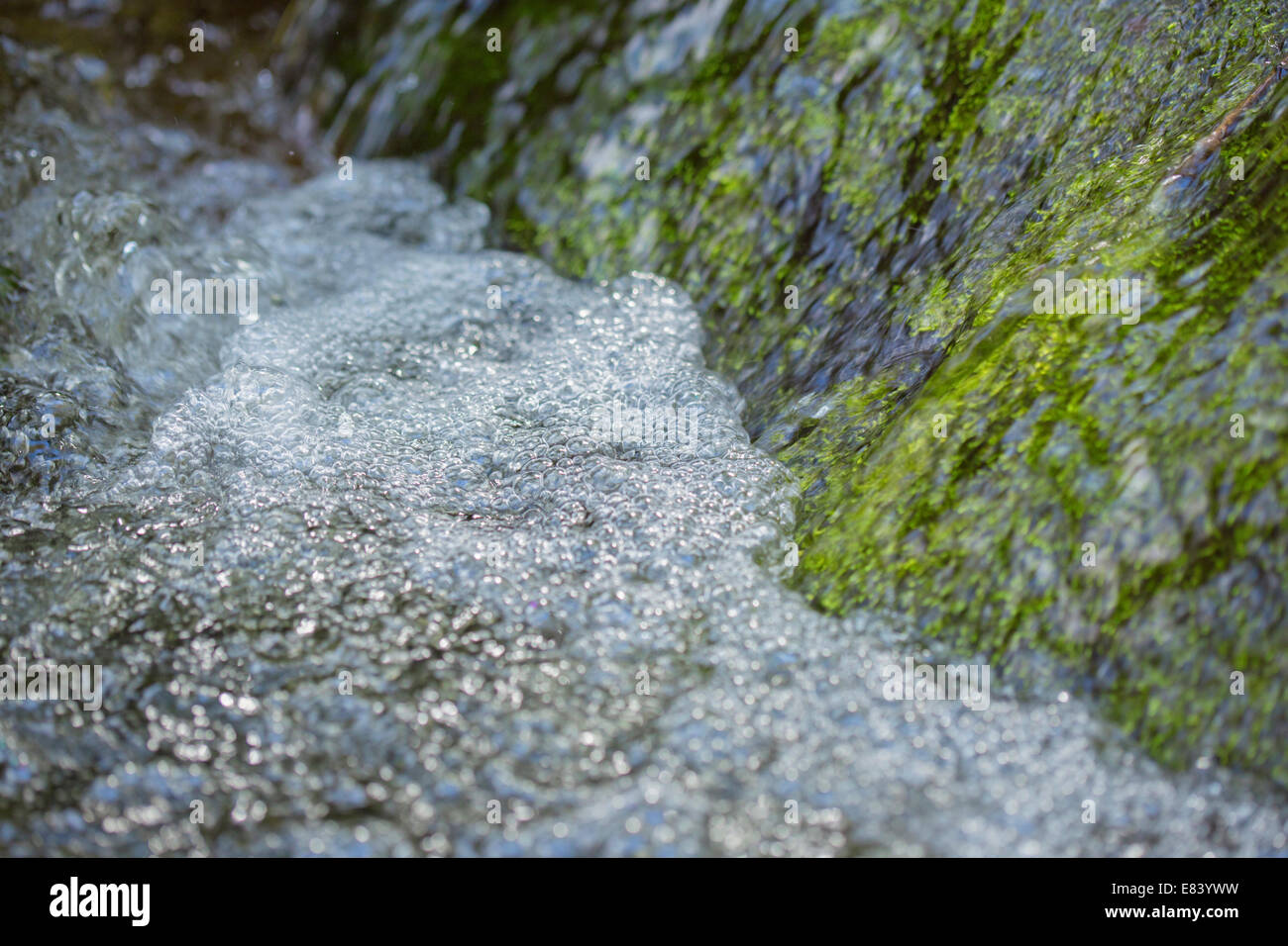 Stream blur forest hi-res stock photography and images - Alamy