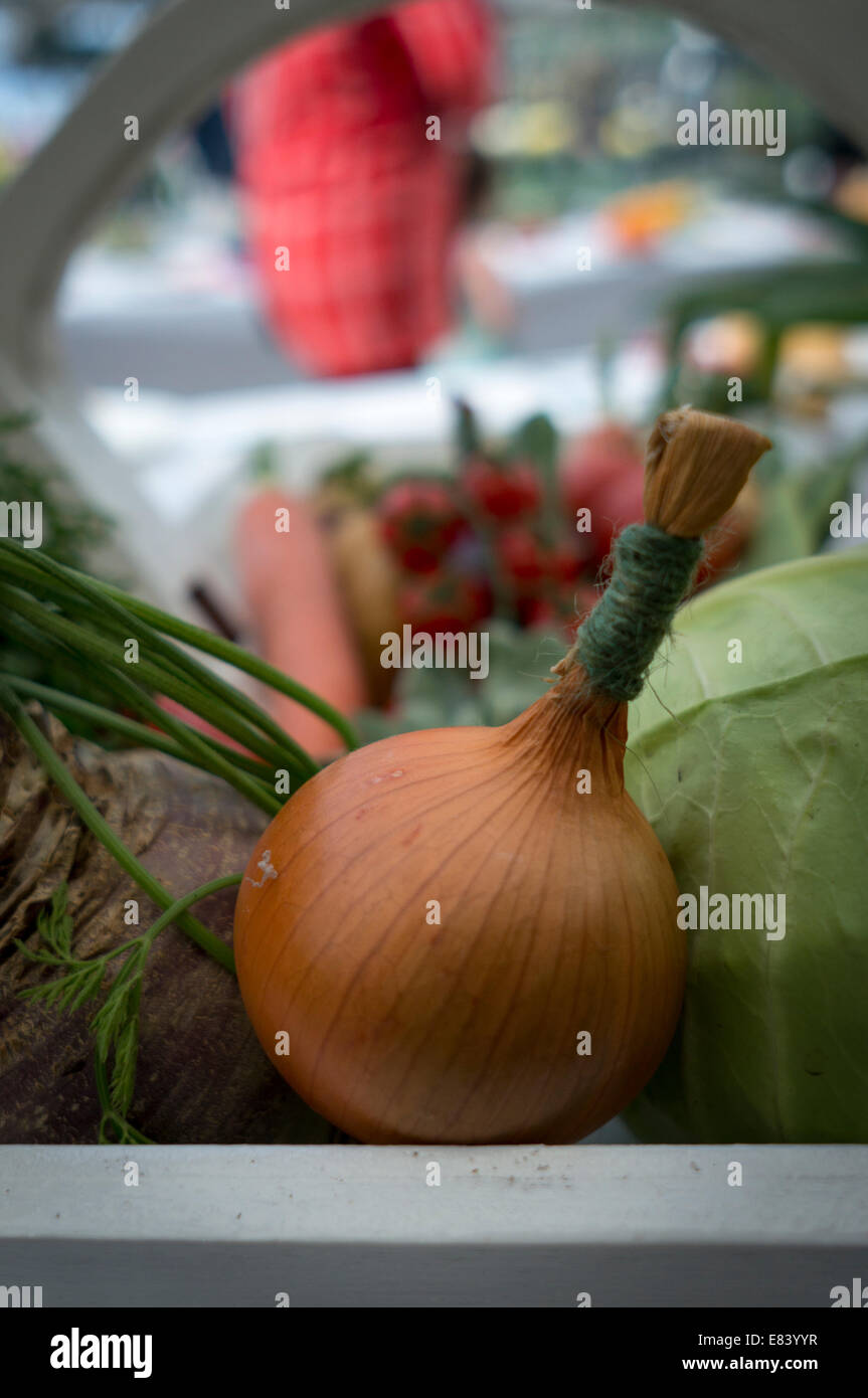 String of onion hi-res stock photography and images - Alamy
