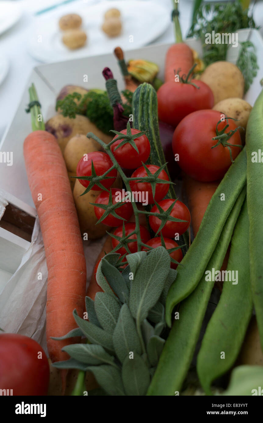 Vegetable harvest box Stock Photo - Alamy