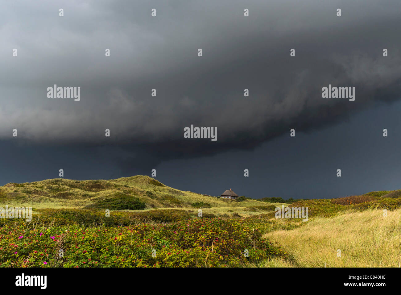 Dramatic storm clouds over dunes, Henne Strand, Region of Southern Denmark, Denmark Stock Photo ...
