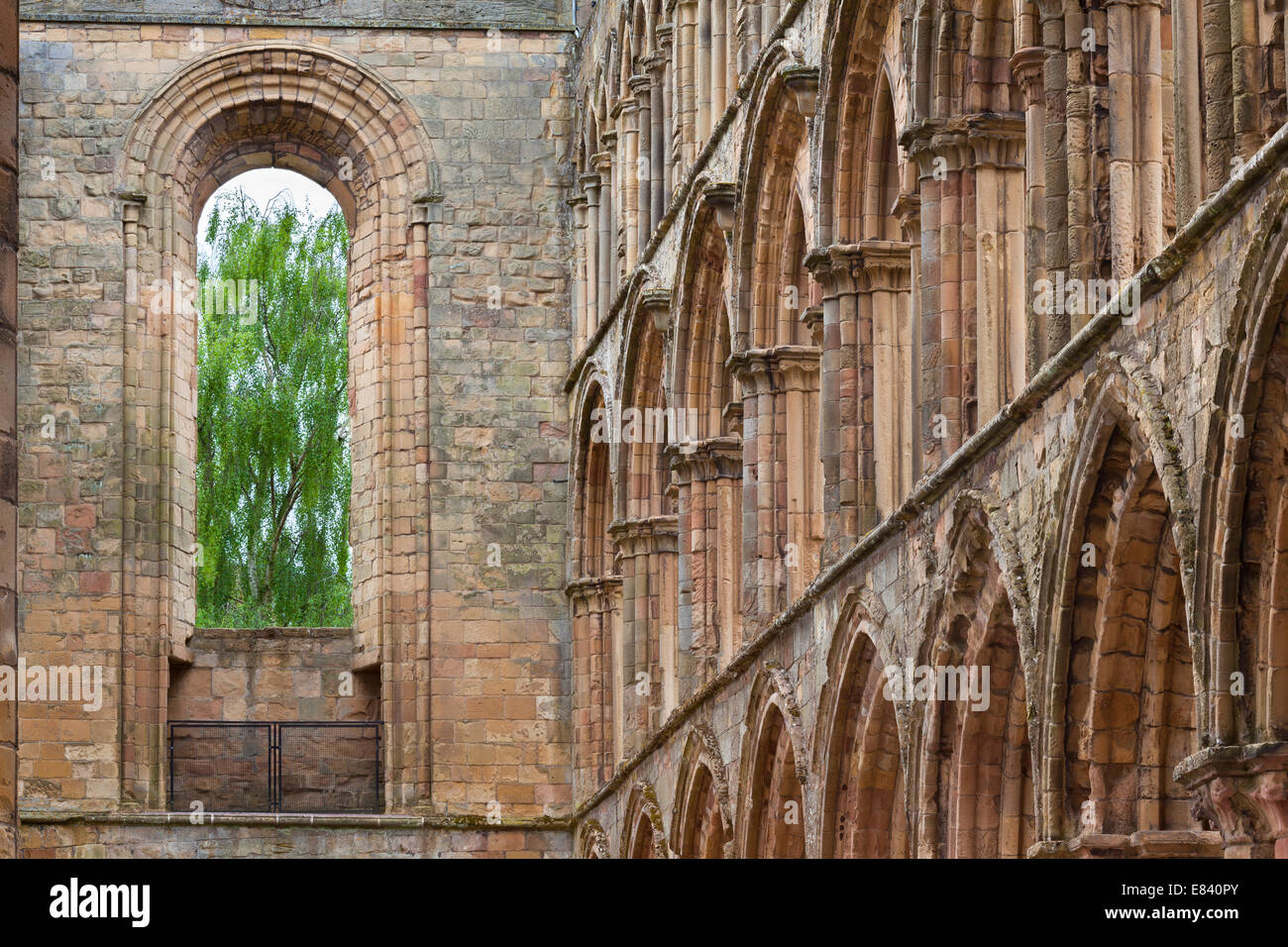 Jedburgh Abbey, Jedburgh, Borders District, Scotland, United Kingdom ...