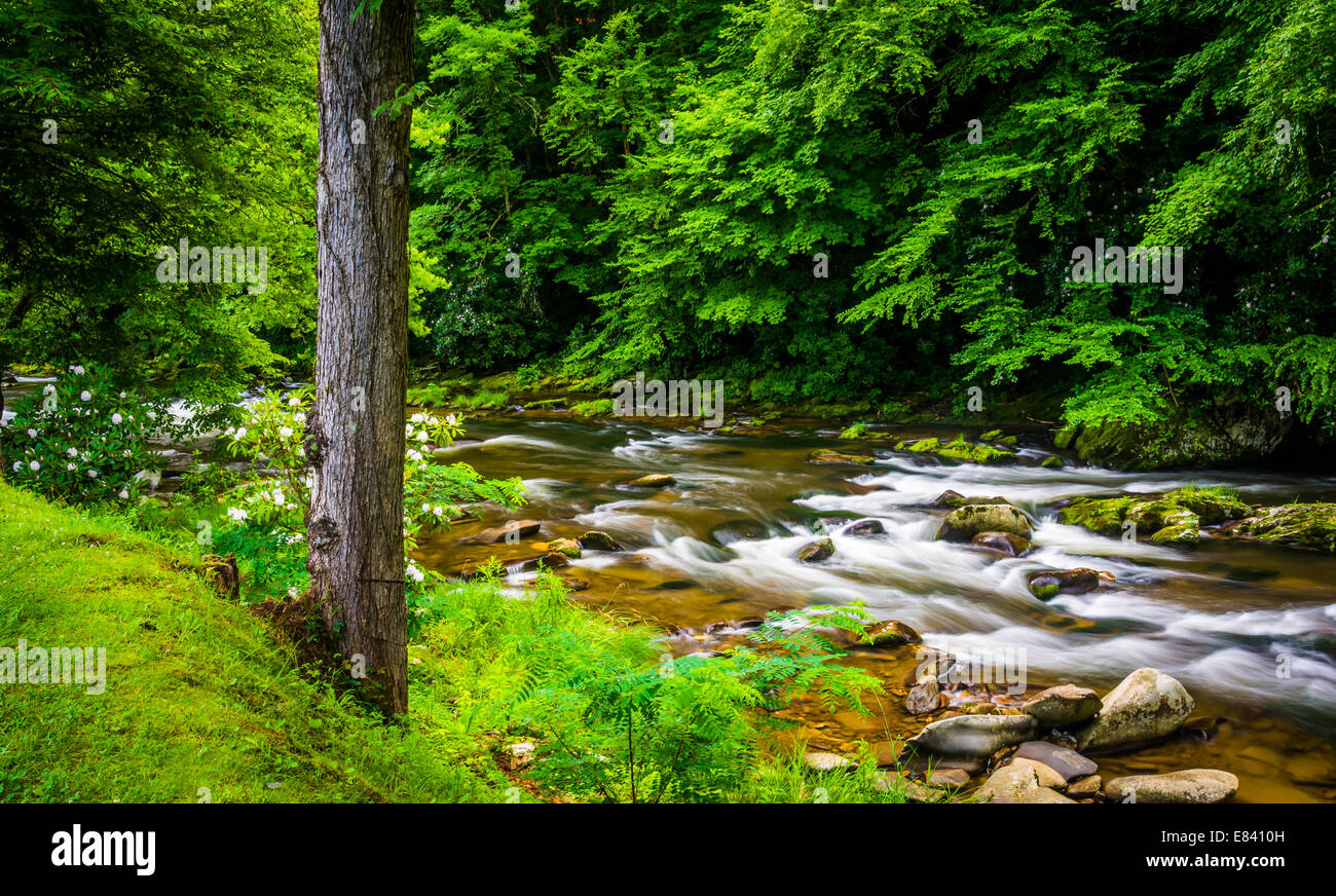 View of Raven Fork, near Cherokee, North Carolina Stock Photo - Alamy