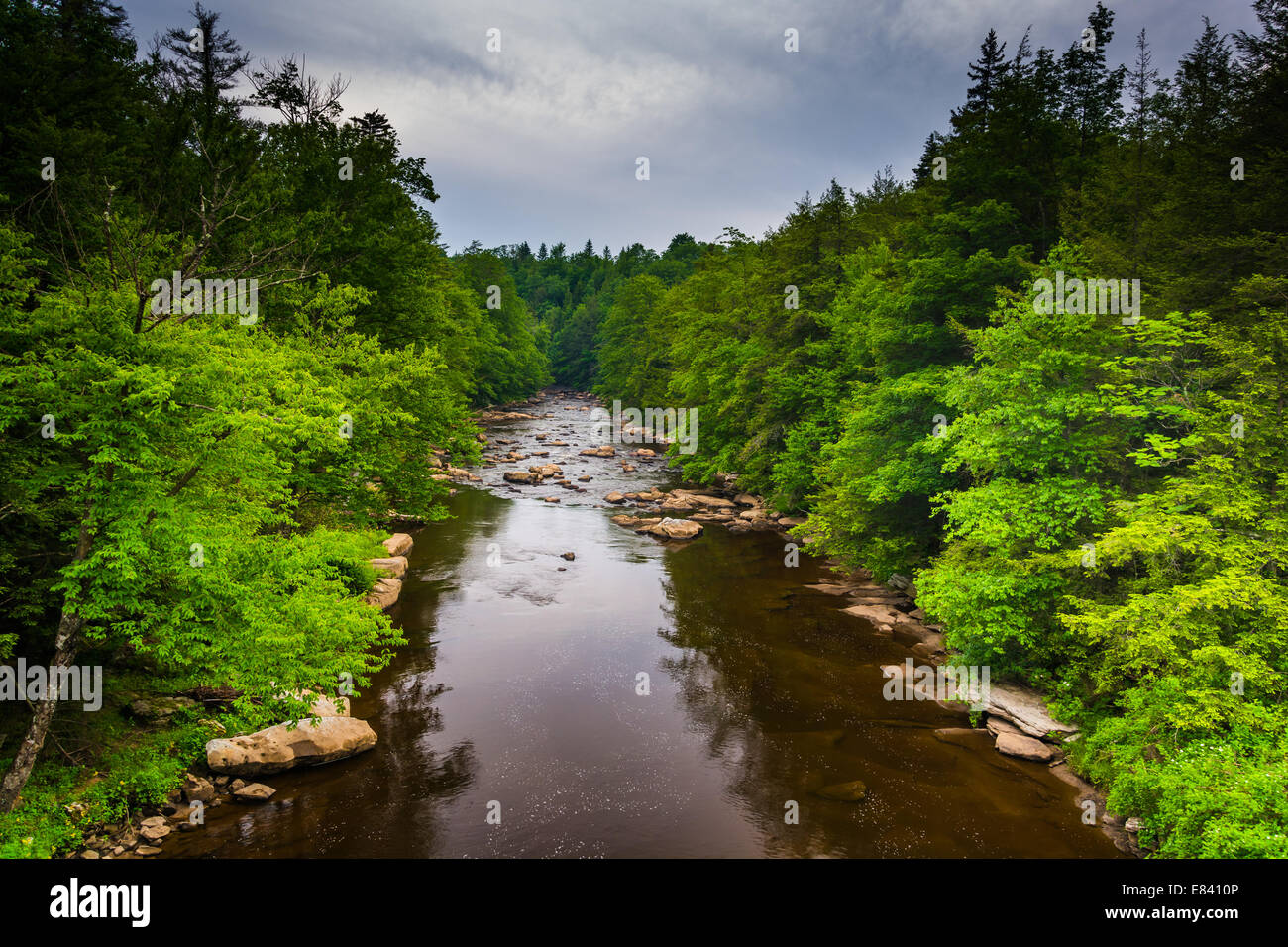 View of the Blackwater River from a bridge at Blackwater Falls State ...