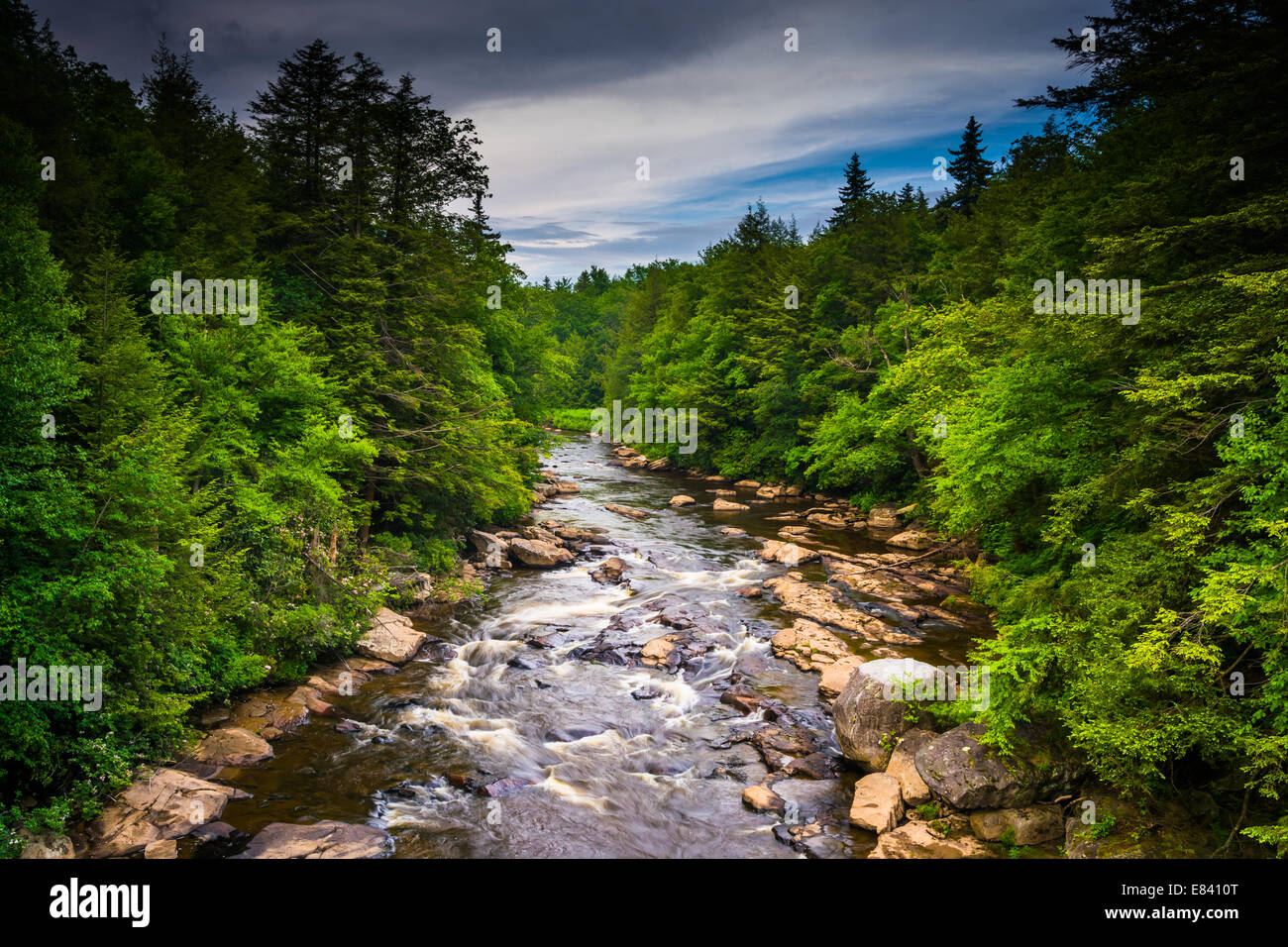 View of the Blackwater River from a bridge at Blackwater Falls State ...