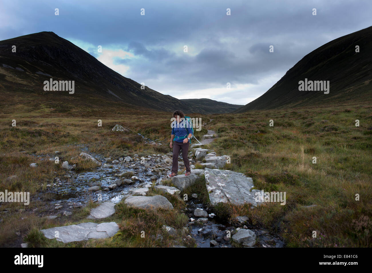 Autumn on Ben Wyvis in the Scottish Highlands Stock Photo - Alamy